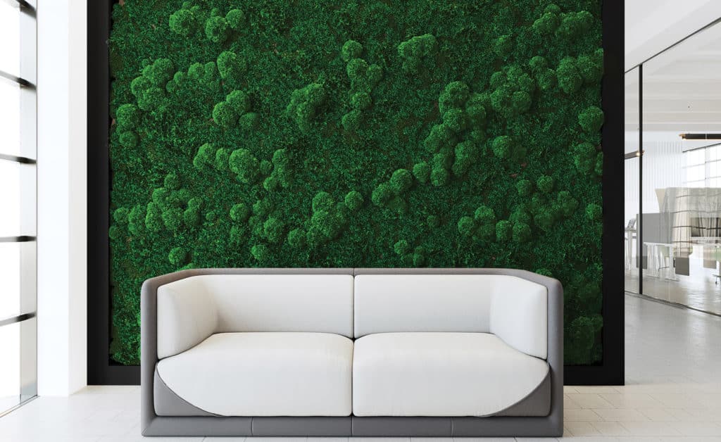 ماس وال🍀{اجرا،قیمت و مشاوره moss wall]