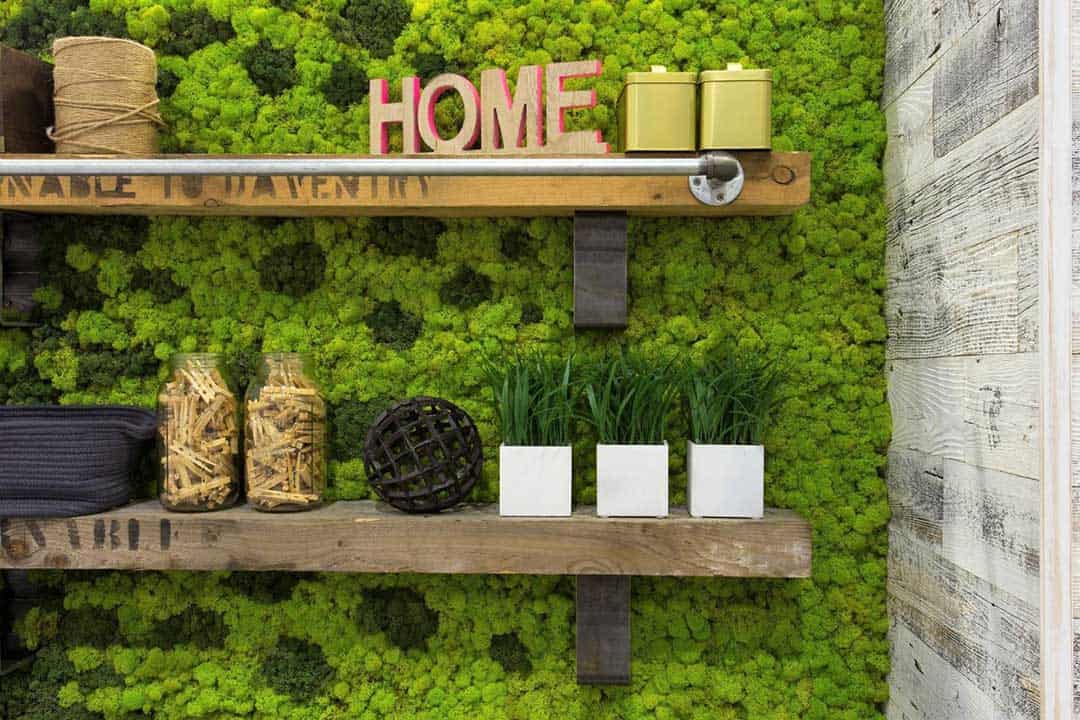 ماس وال🍀{اجرا،قیمت و مشاوره moss wall]
