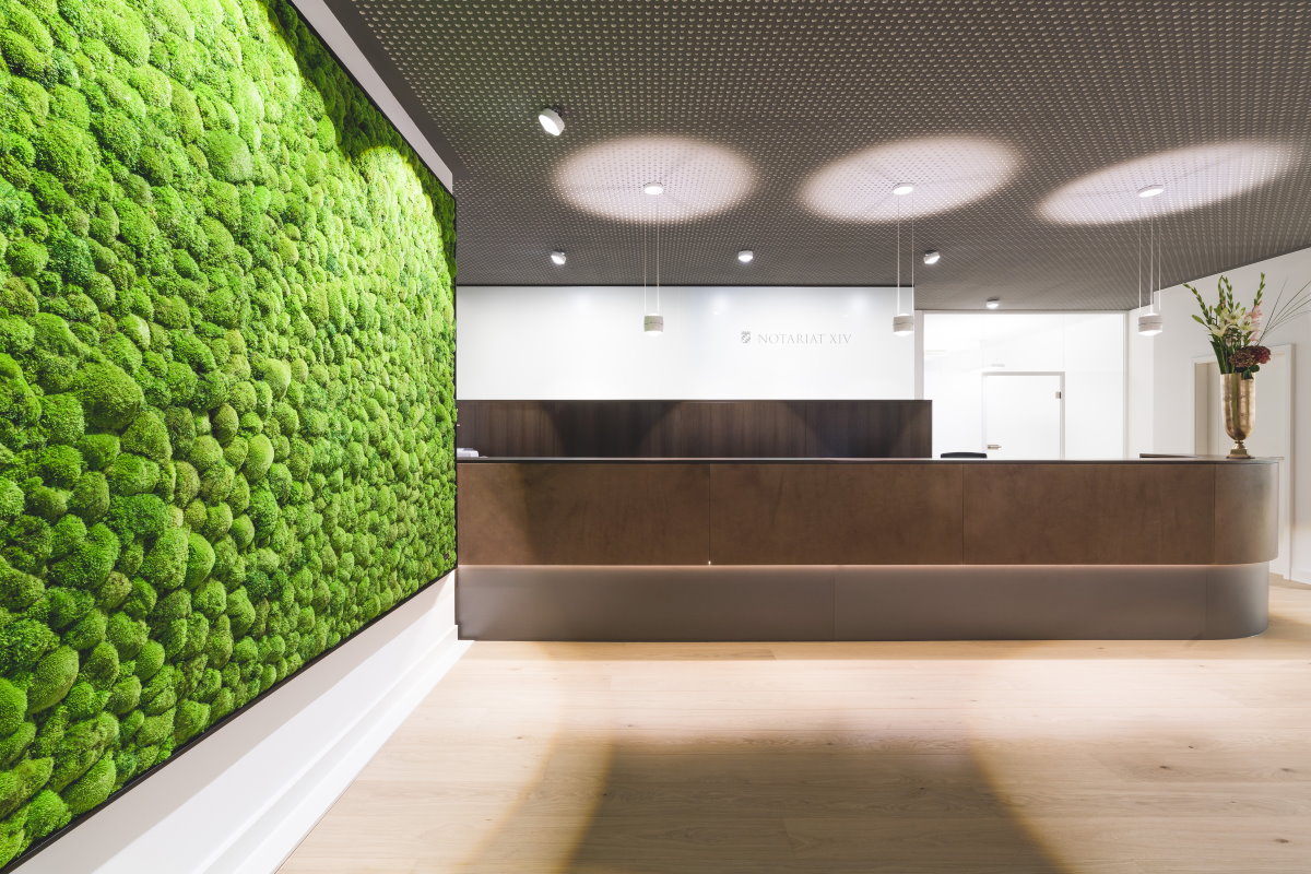 اجرای ماس وال در تهران [+نمونه کار و هزینه] دکورسبز